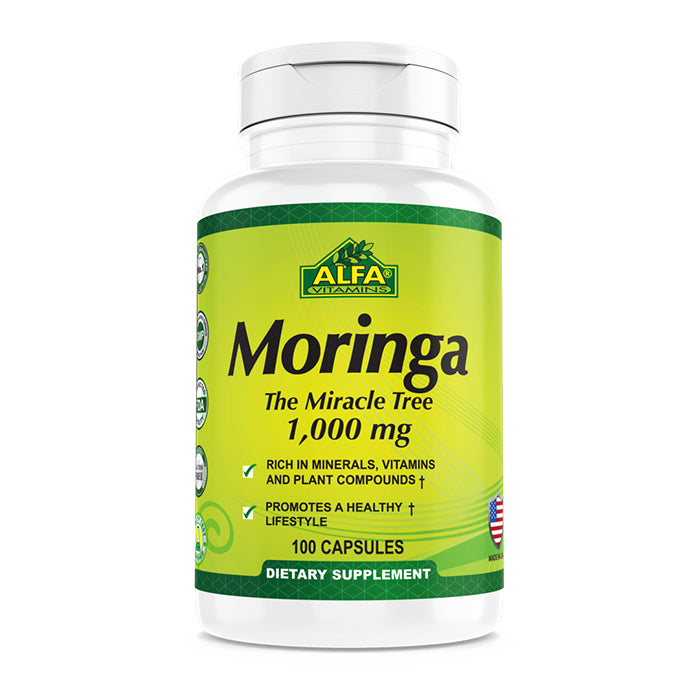 Moringa – Macrobiótica Go Natural